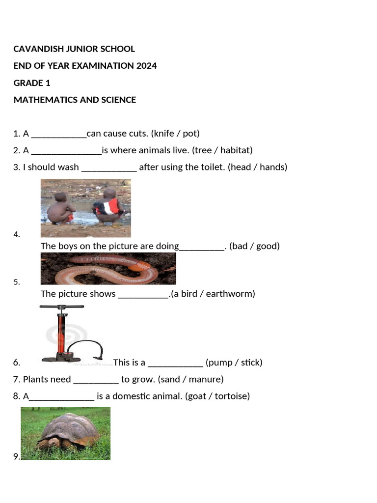 Grade 1 Math and Science Exam 2024 | PDF