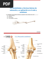 Anatomía y Exploración del Codo | PDF | Codo | Articulación