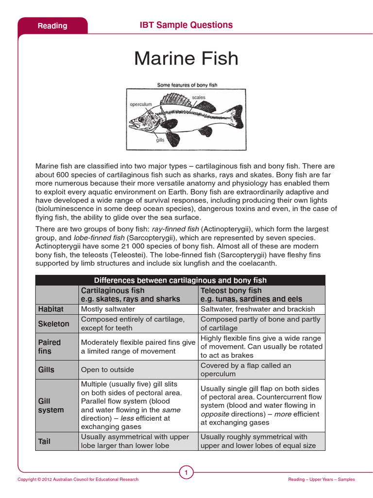 IBT English Reading - Upper Years - Sample | PDF | Fish | Aquatic Animals
