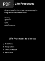 Class 10 Science Chapter 6 Life Processes Notes | PDF