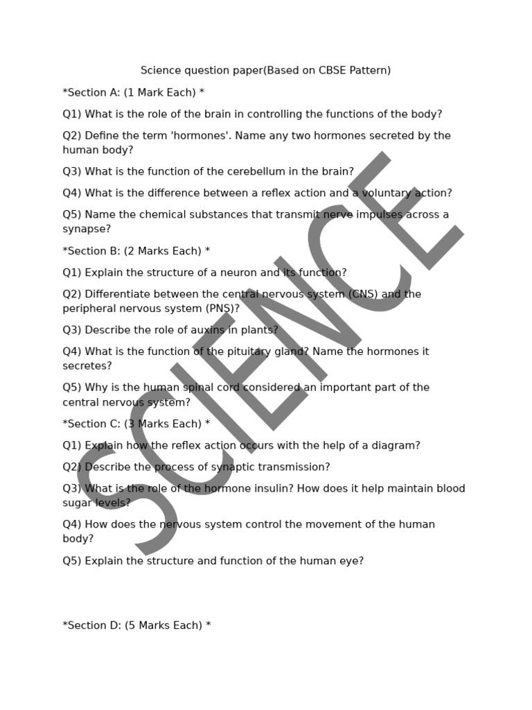 Brain Parts and Functions Overview | PDF