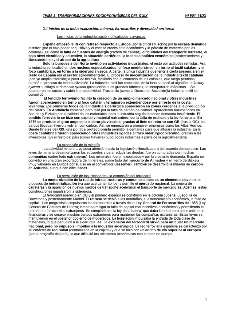 RESUMEN TEMA 3 HISTORIA DE ESPAÑA: TRANSFORMACIONES SOCIOECONÓMICAS DEL S.XIX | PDF | España ...
