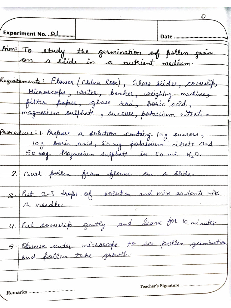 Biology Practical File 2024-25 (Till Exp. 6) | PDF