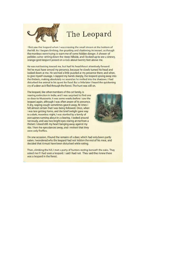 Leopard | PDF