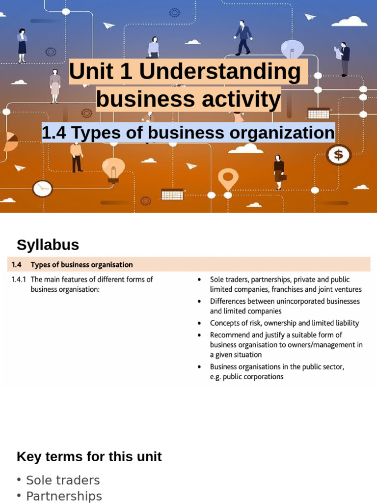 Types of Business Organizations Explained | PDF | Partnership | Limited ...