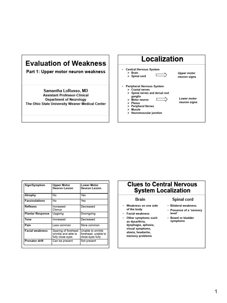 1590approach To Muscle Weakness in Primary Care - 4 | PDF | Spinal Cord ...
