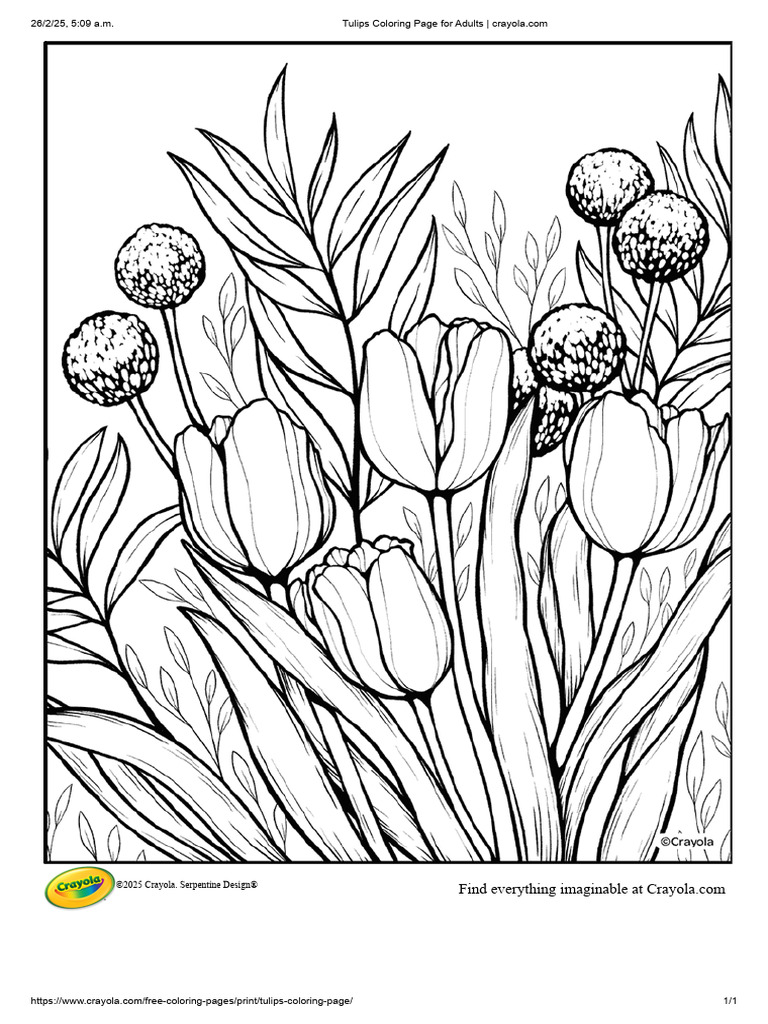 Tulips Coloring Page For Adults | PDF
