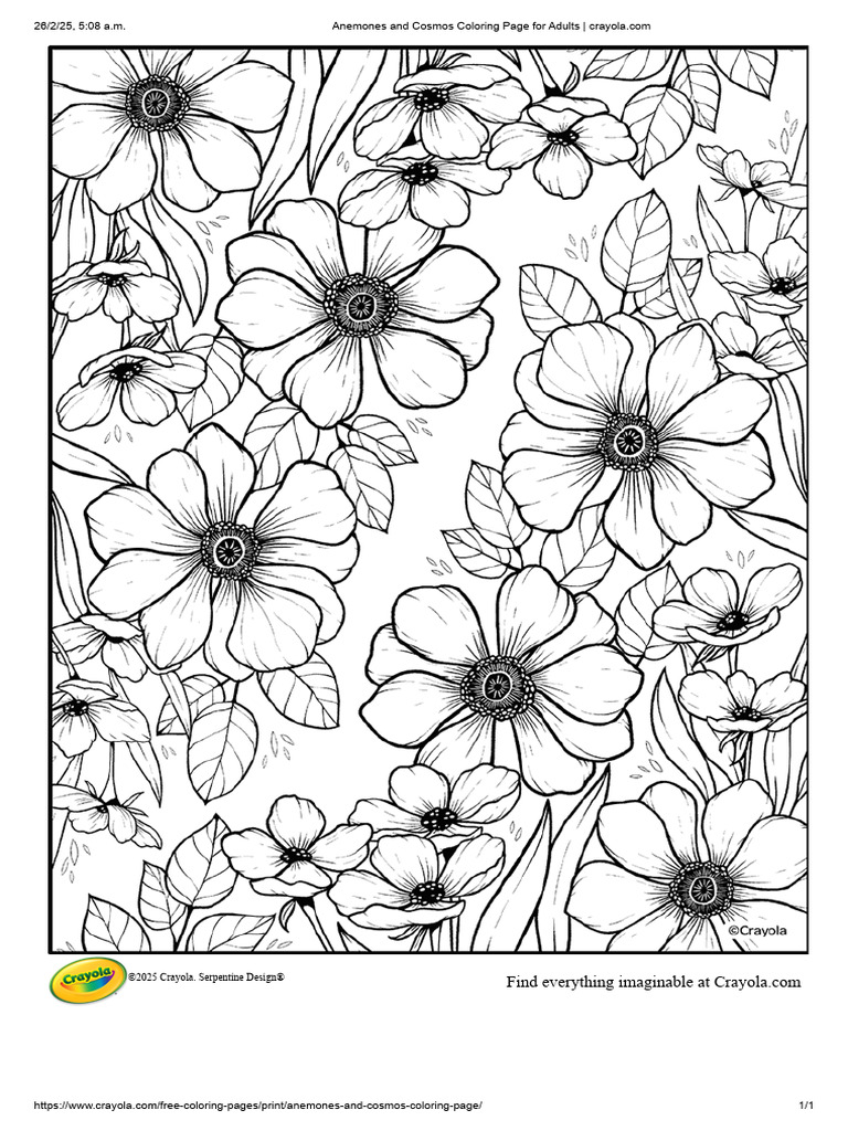 Adult Coloring: Anemones & Cosmos | PDF