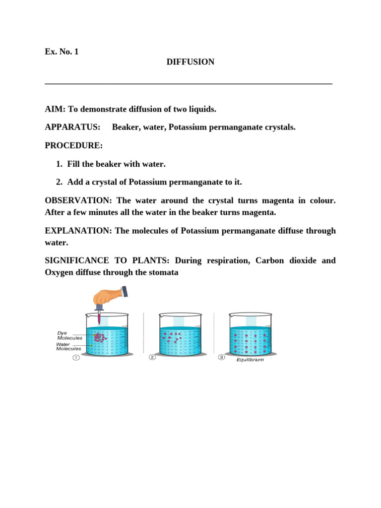 PRACTICALS - RECORD WORK 2023 - 2024 | PDF | Heart | Pancreas