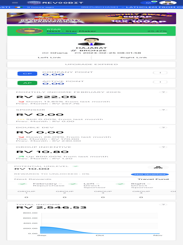 Revoobit Panel | PDF