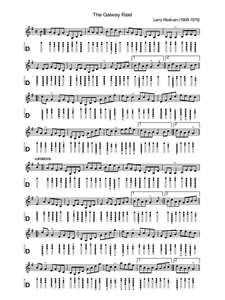 Larry Redican's Galway Reel Variations | PDF