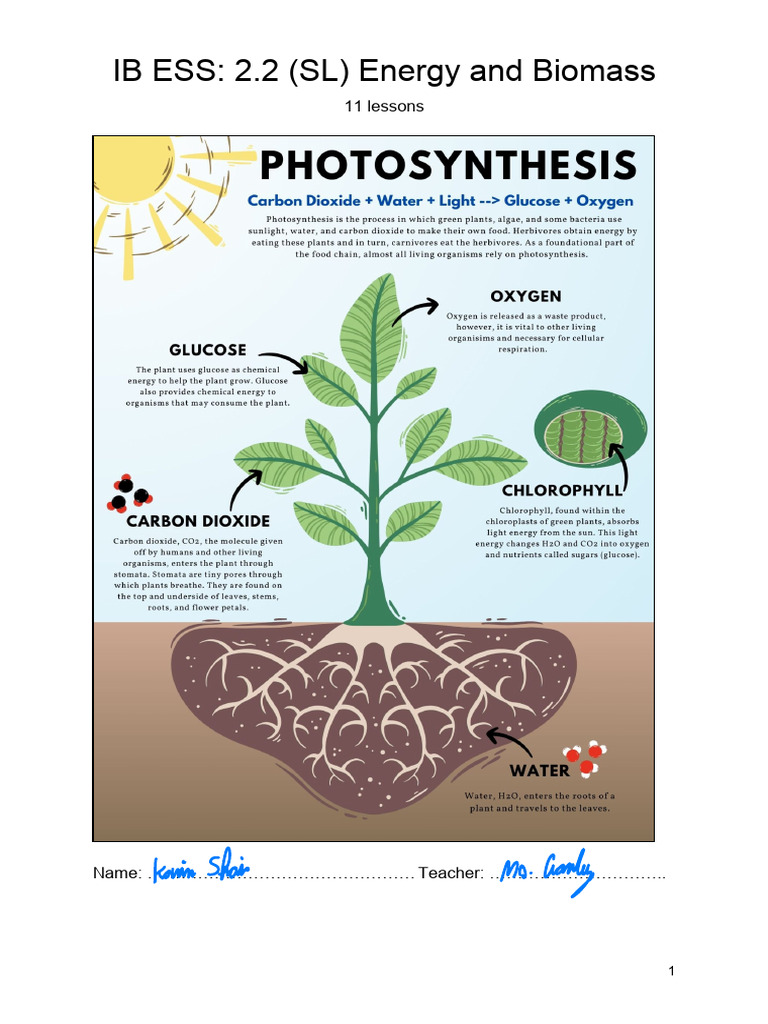 Energy Flow and Biomass in Ecosystems | PDF | Food Web | Primary Production