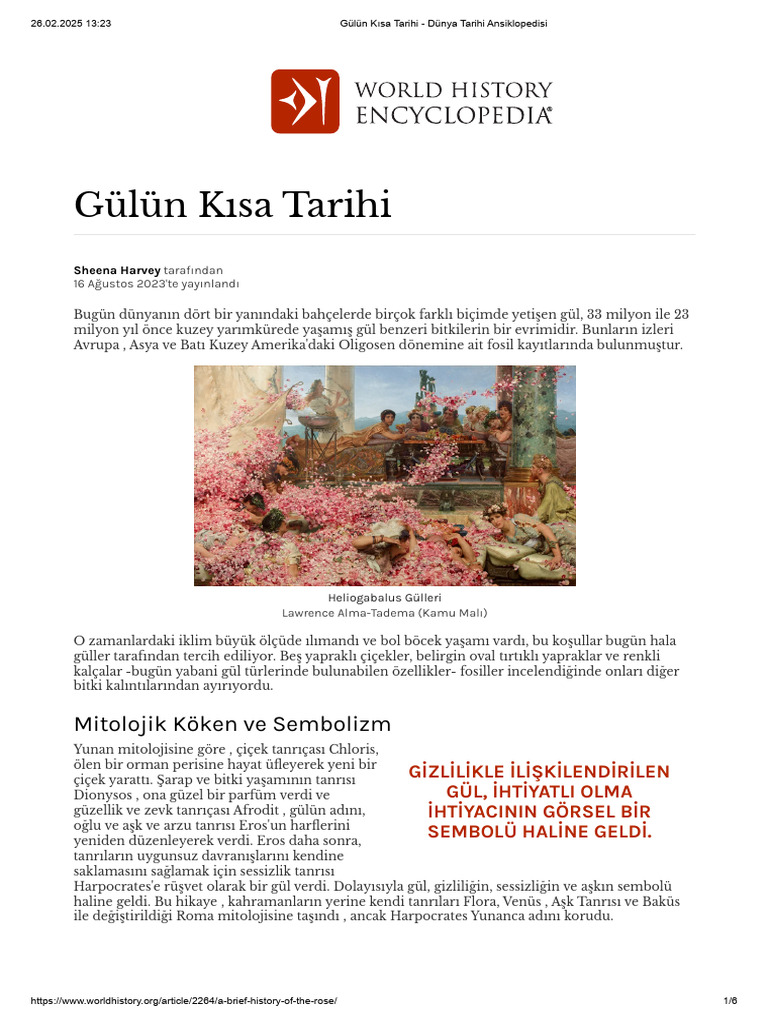 The Rose: History & Symbolism | PDF | Rose | Garden Plants