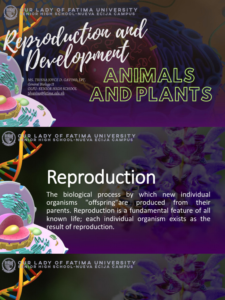 REPRODUCTIVE; Plants and Animals | PDF | Reproduction | Sexual Reproduction