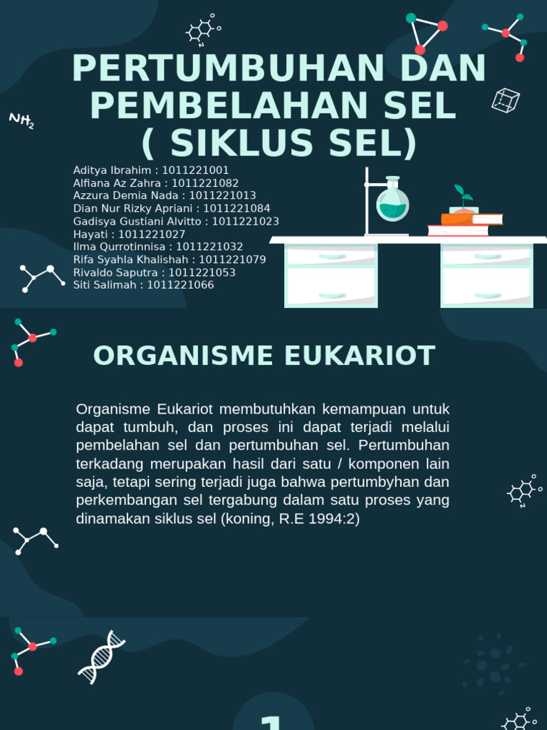Siklus Sel - Kelompok 4 Biomol | PDF