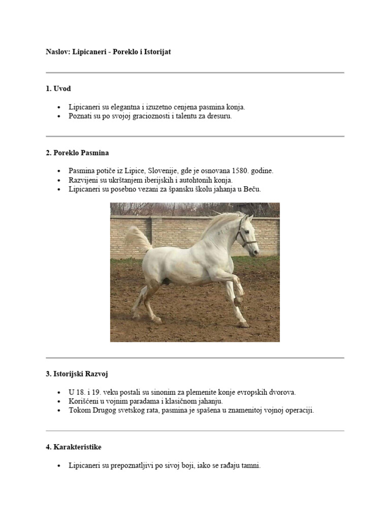 03 Lipicaner | PDF