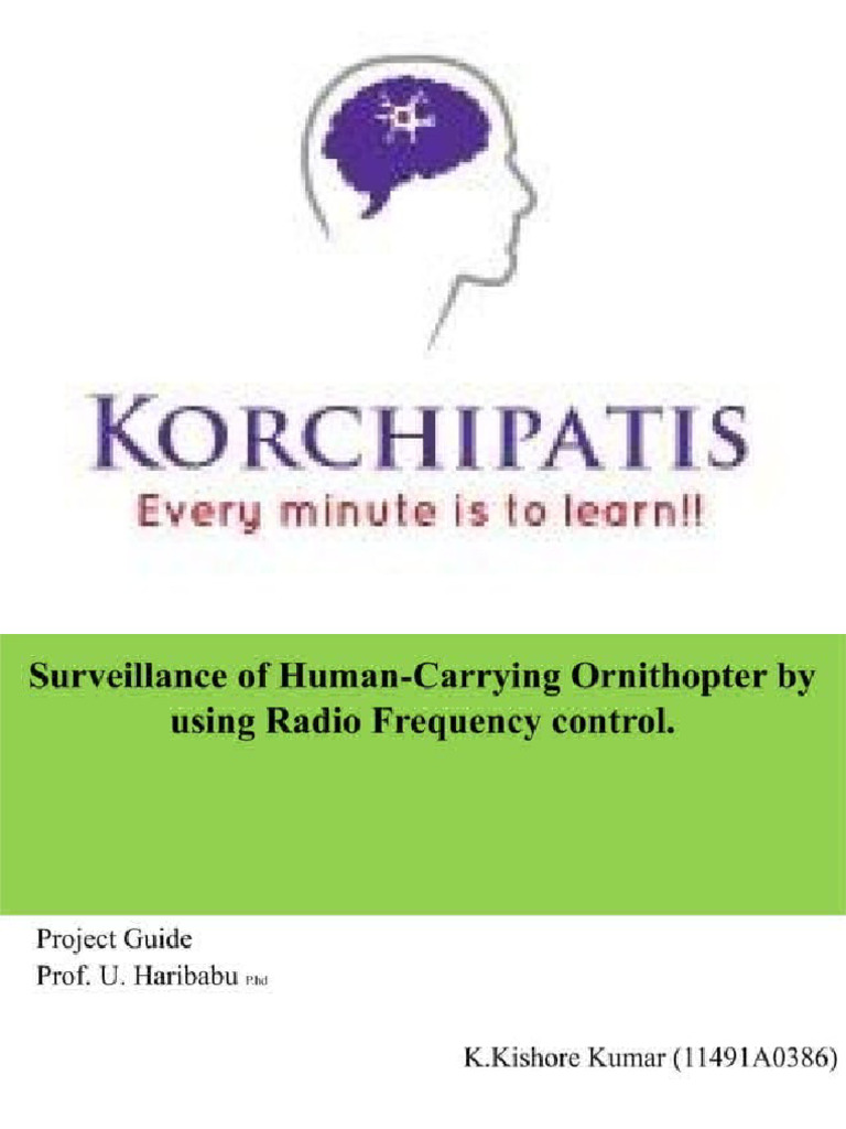 Ornithopter Project Pdf