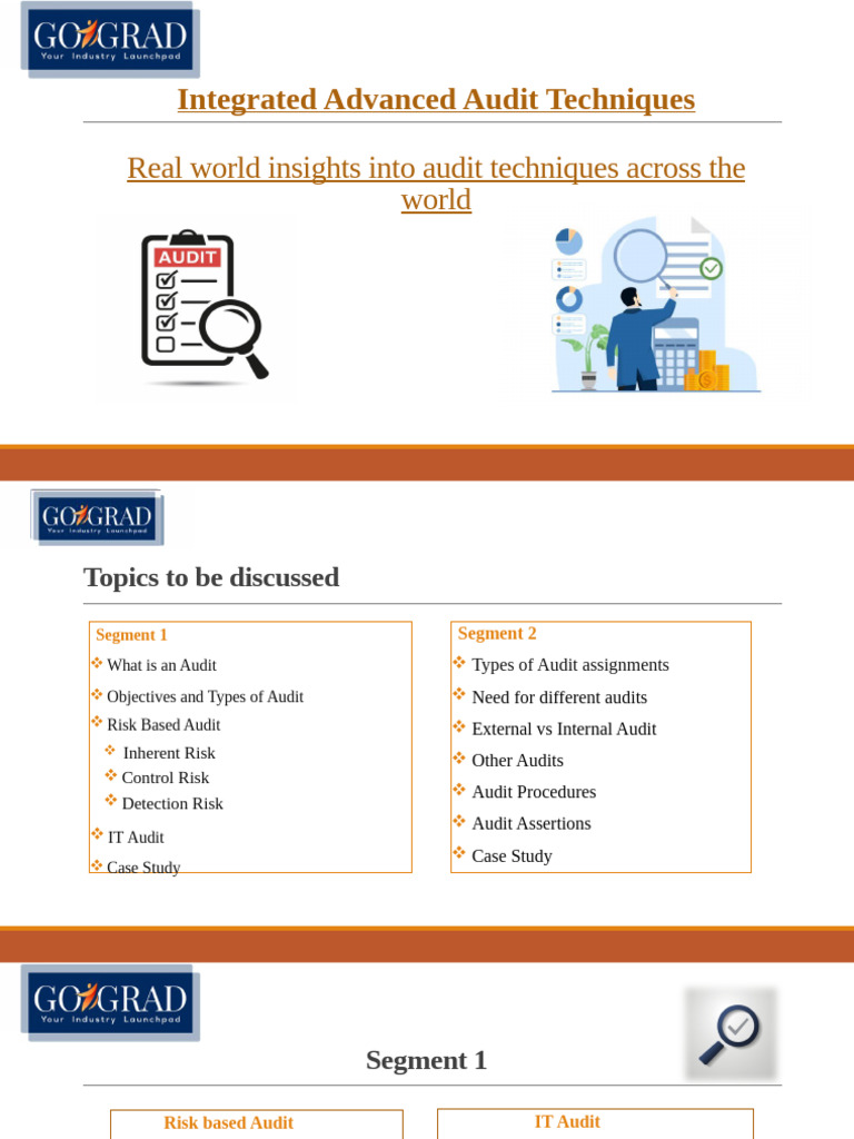Integrated Advanced Audit Techniques | PDF | Audit | Internal Control