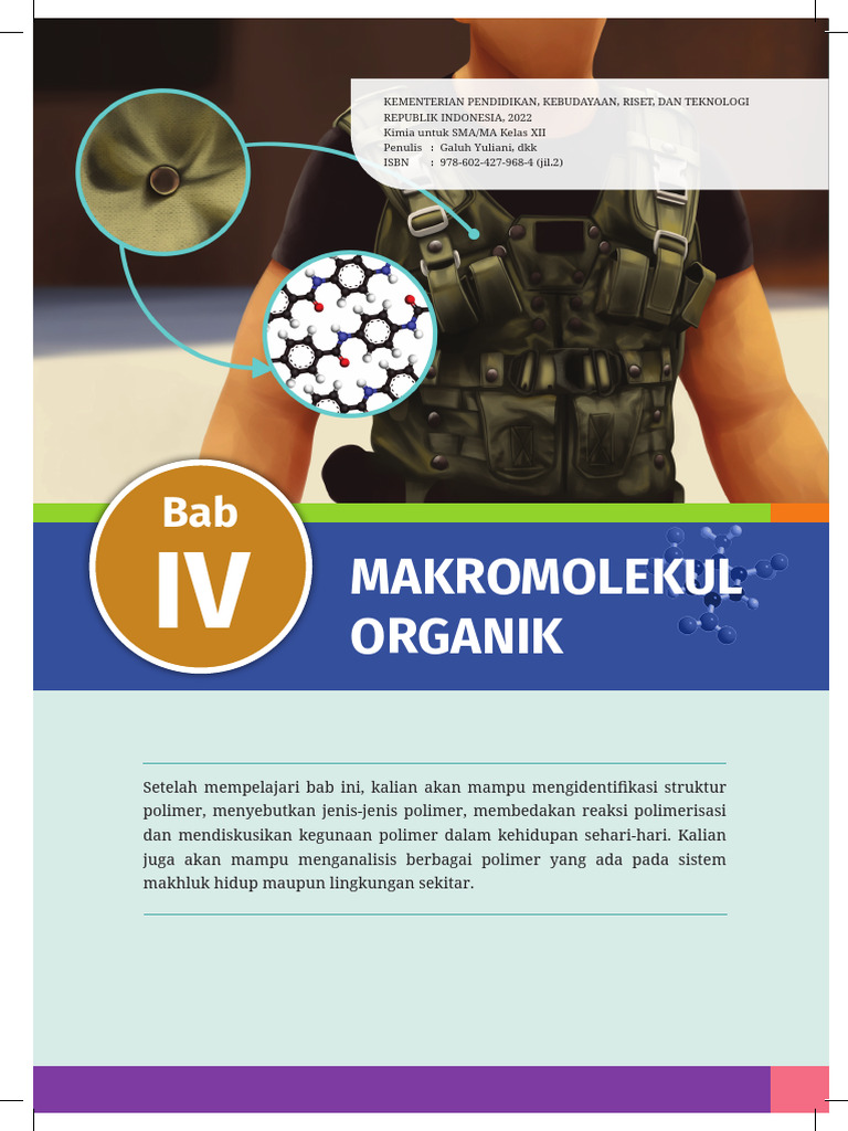 Makromolekul organik | PDF