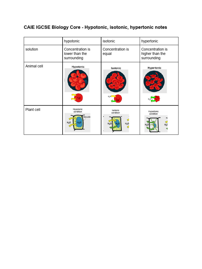 CAIE IGCSE Biology Core | PDF