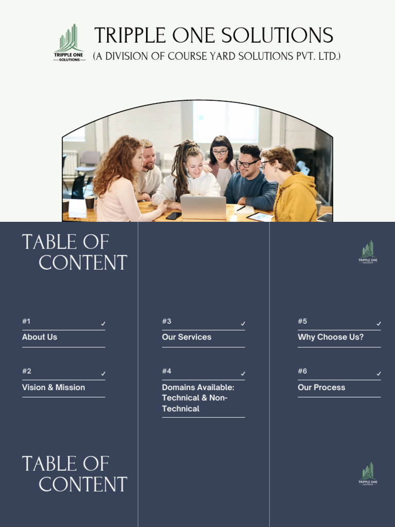 Tripple One Solutions | PDF | Internship | Job Hunting