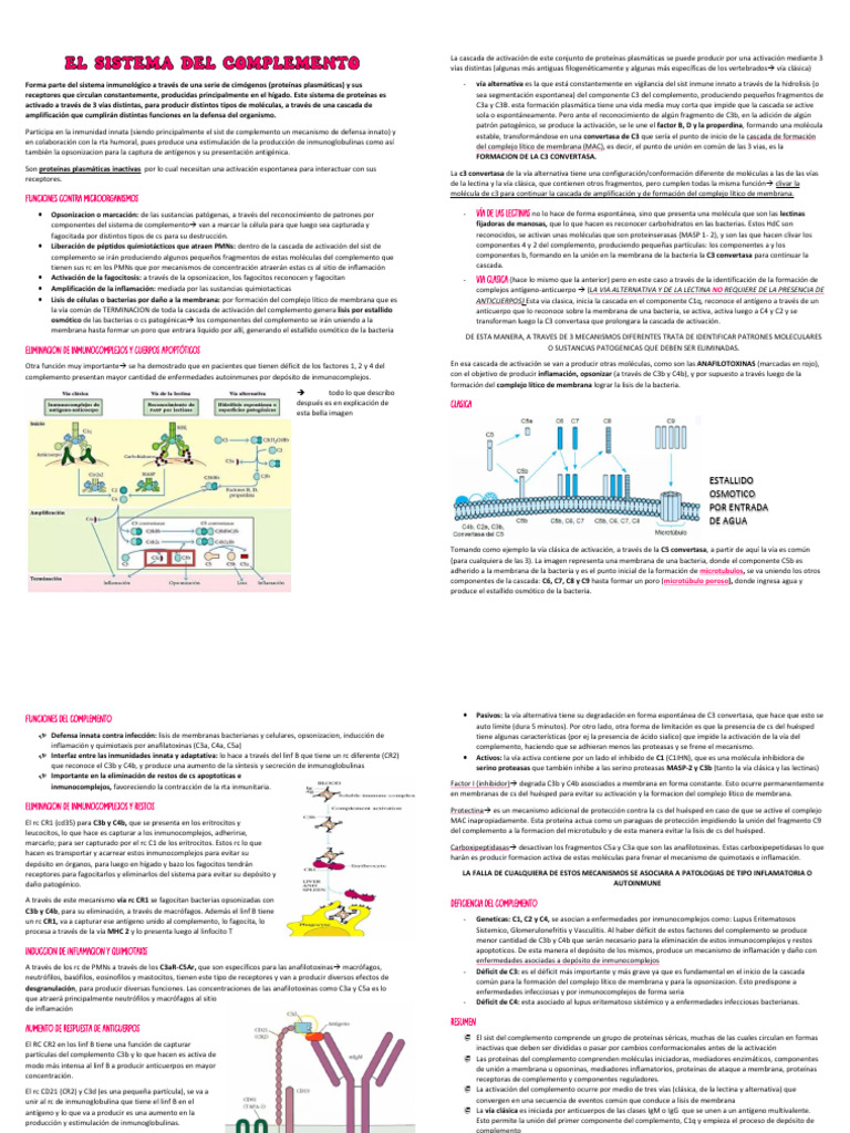 El Sistema Del Complemento | PDF | Sistema complementario | Inmunidad humoral