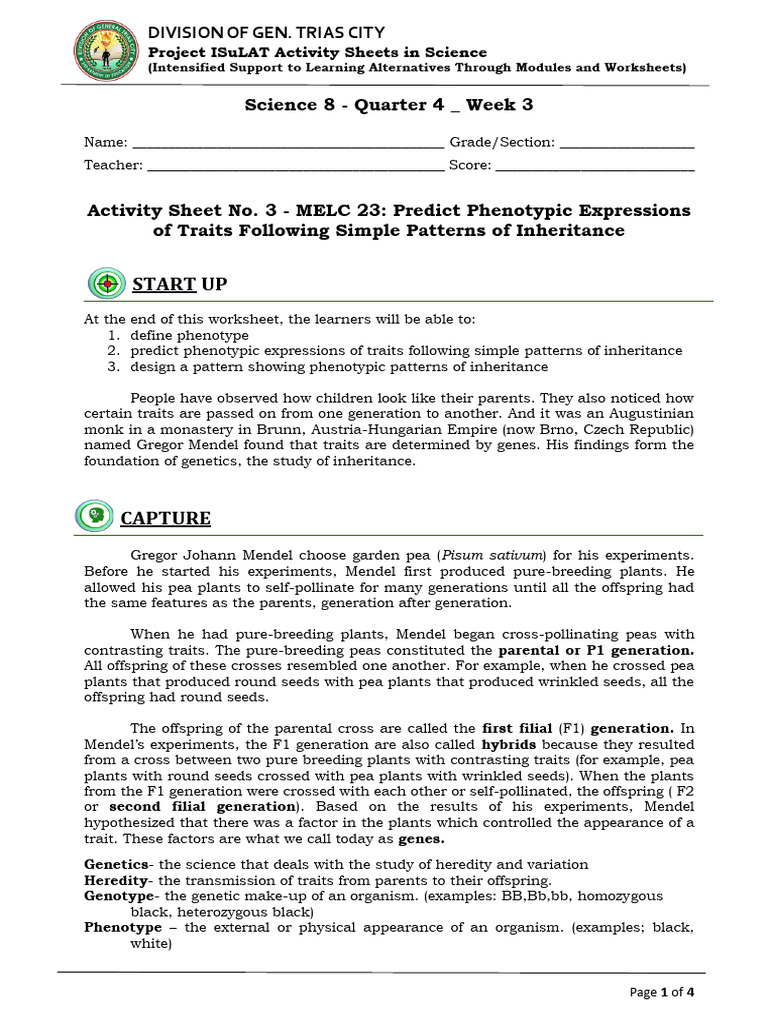 Predicting Phenotypic Traits in Genetics | PDF | Dominance (Genetics ...