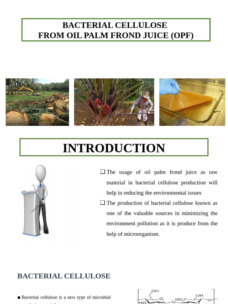 Bacterial Cellulose From Oil Palm Frond Juice | PDF | Bacteria | Cellulose