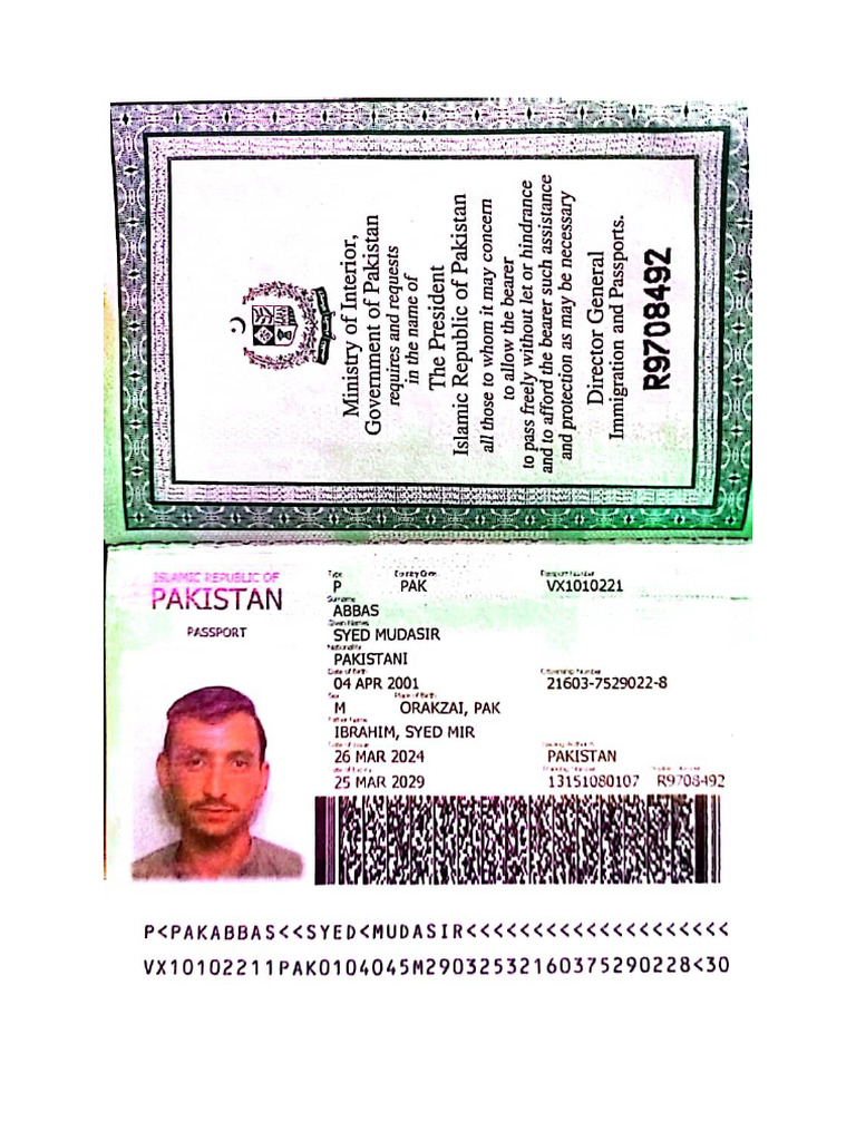 Syed Mudassir Abbas | PDF