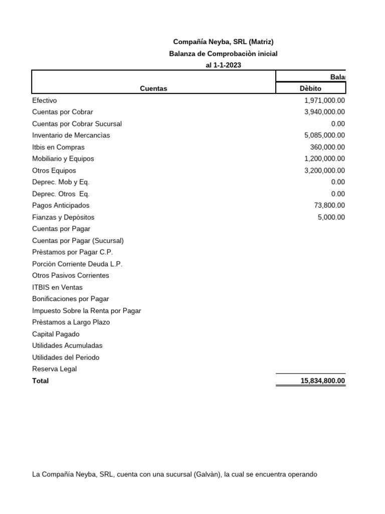 Practica Matrices y Sucursales Contabilidad Iii 202420 | PDF ...