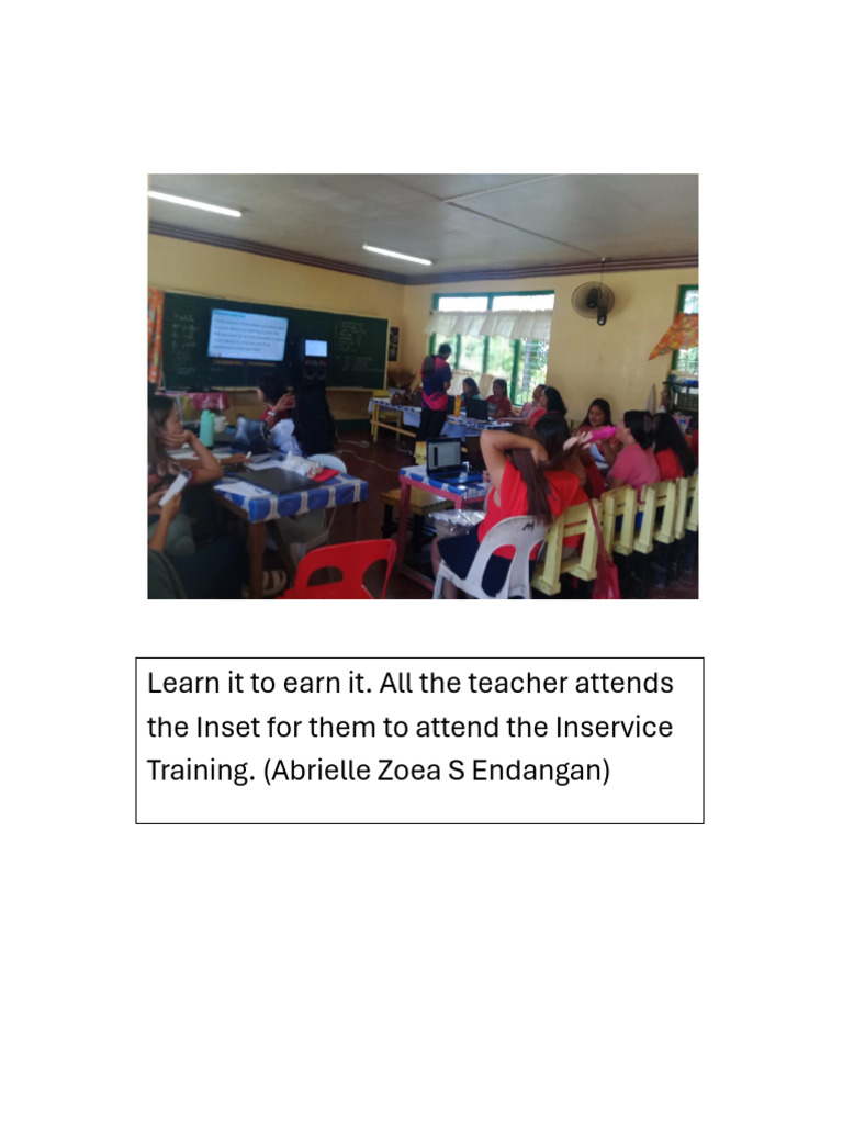 Teacher Inservice Training Overview | PDF
