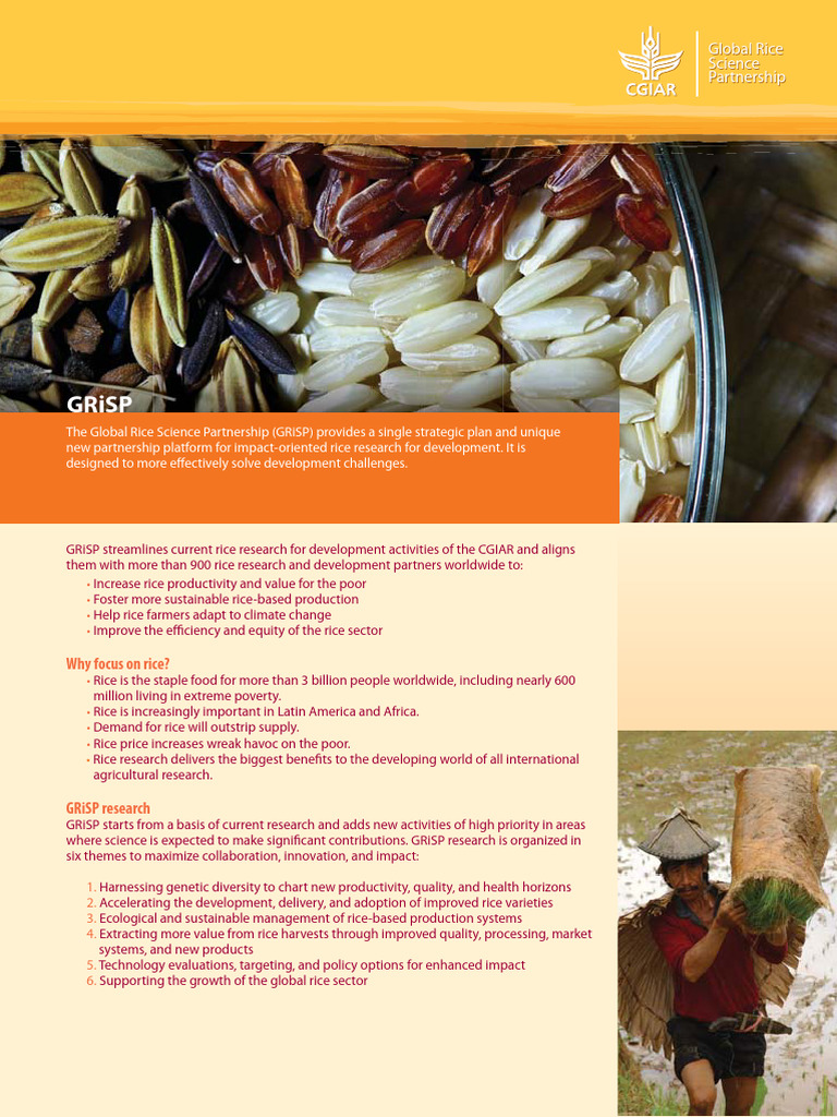 CGIAR Global Rice Science Partnership (GRiSP) Flyer | PDF | Rice ...