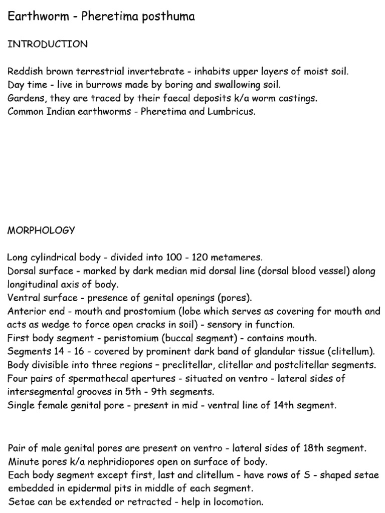 Earthworm PDF | PDF