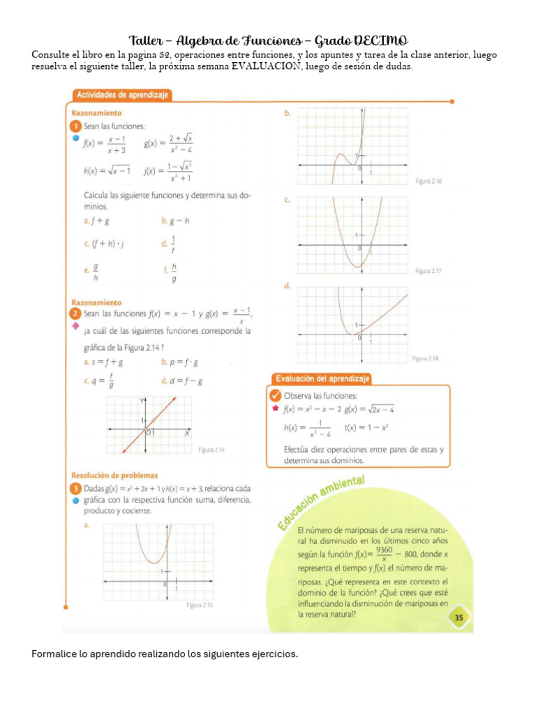 Taller de Álgebra de Funciones DECIMO | PDF