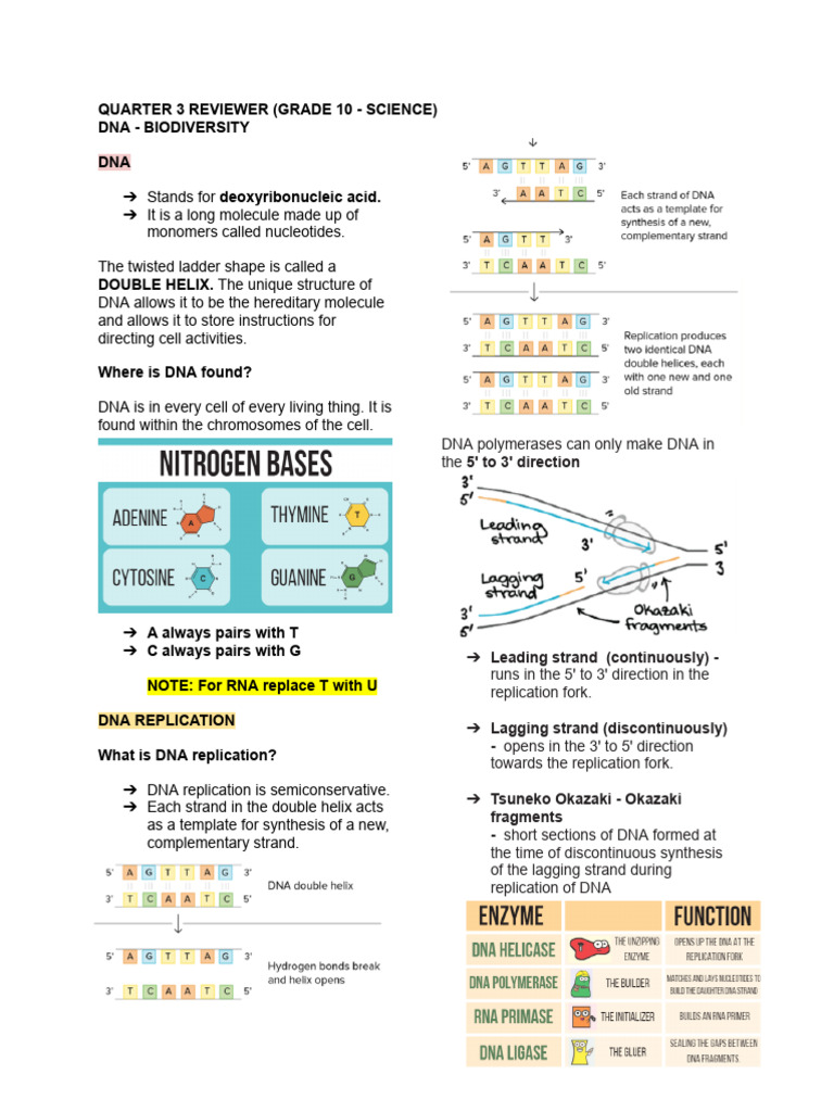 Grade 10 Science: DNA & Evolution Review | PDF | Genetic Code ...