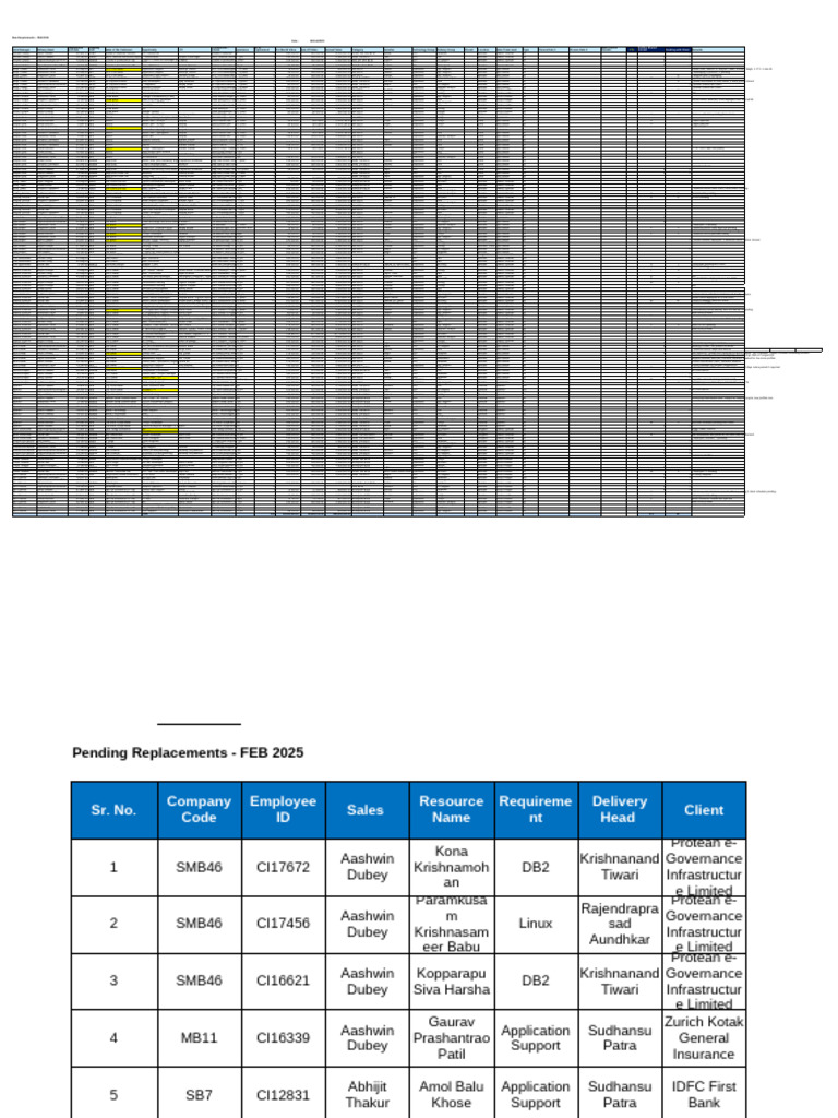 New and Replacement - Requirements - 3feb2025 | PDF | Business | Computing