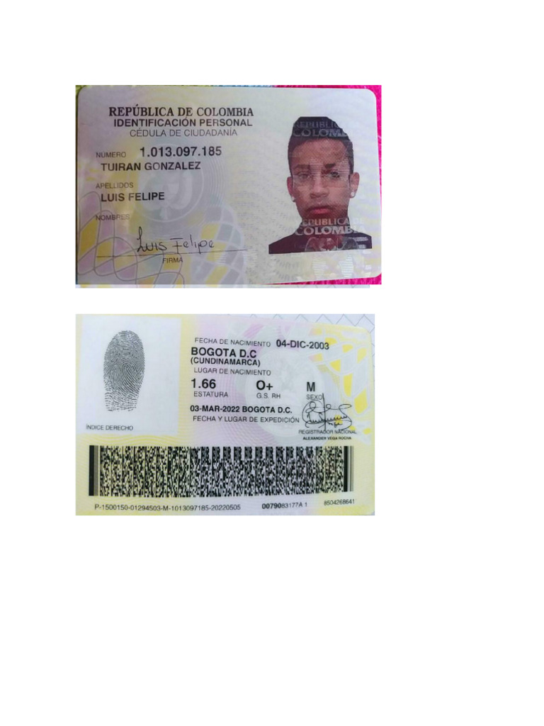 Documento | PDF