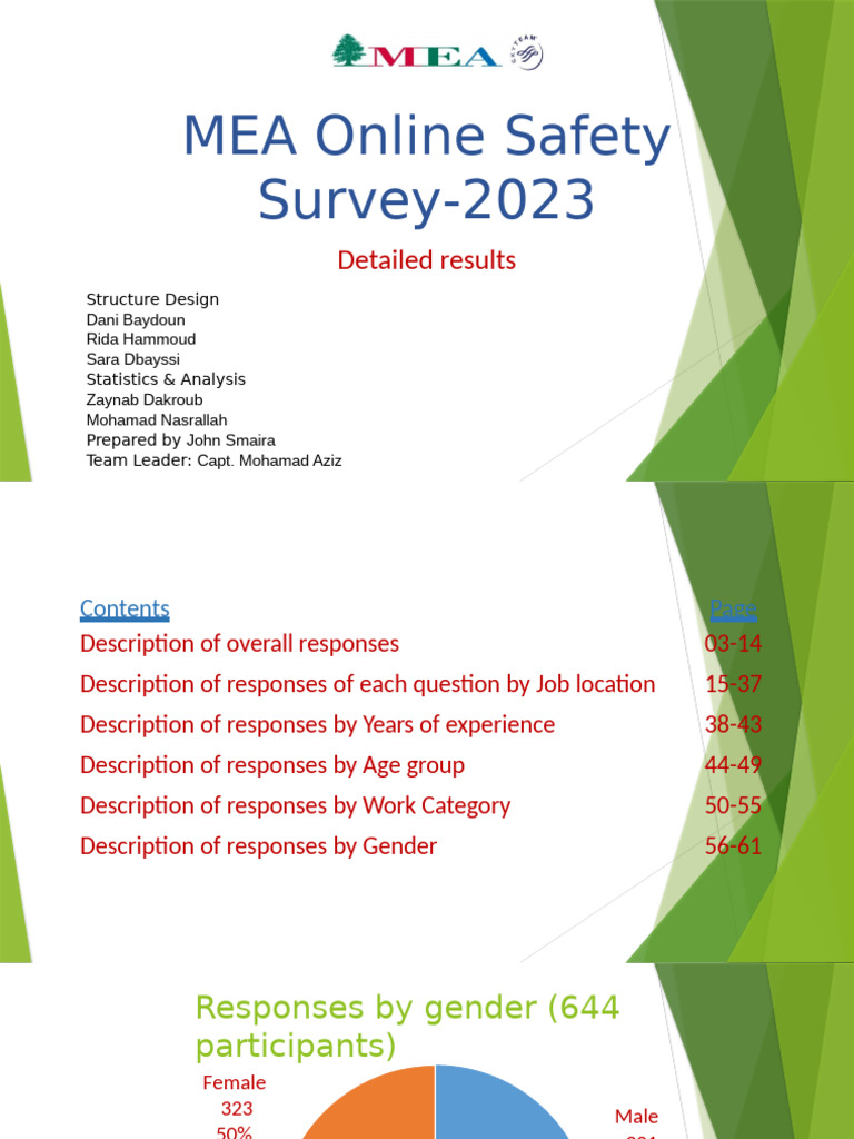 MEA Online Safety Survey-main-PRESENTATION | PDF