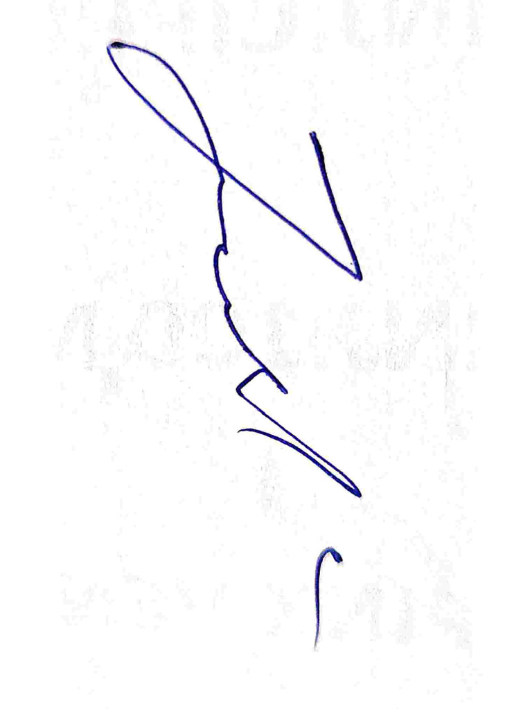 Signature 2 | PDF