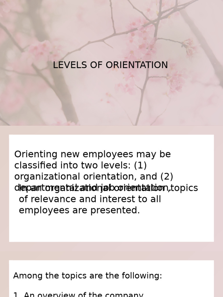 Levels of Employee Orientation Explained | PDF