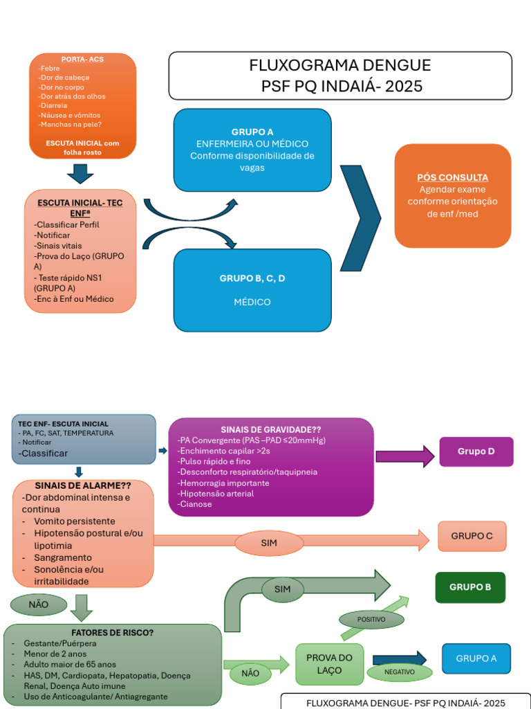 Fluxograma Dengue 2025 | PDF | Ciências da Saúde | Remédio