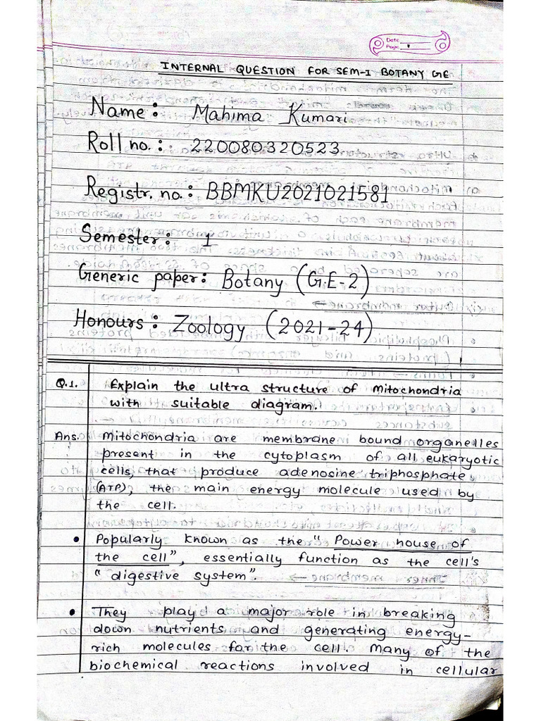 Botany Sem 1&2 Assignment | PDF