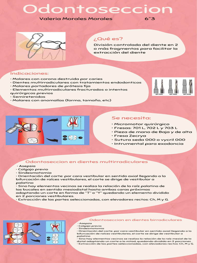 Infografía Matrona Parto Medicina Ilustrado Rosa | PDF | Anatomia dental | Cuidado de la salud