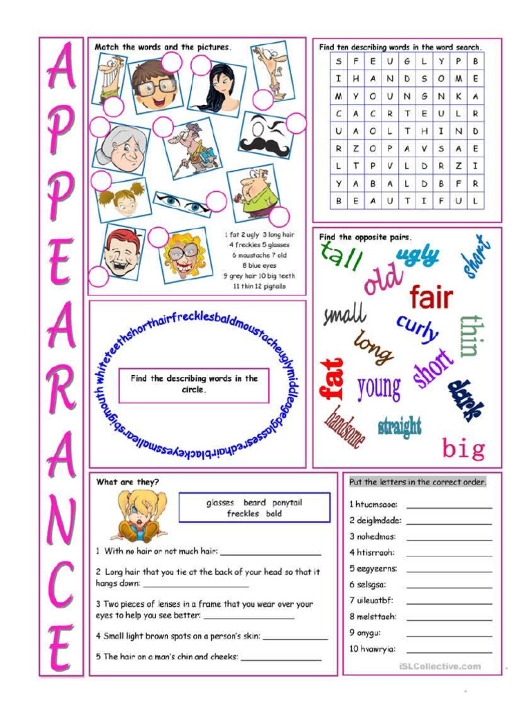 Physical Appearance Worksheet | PDF