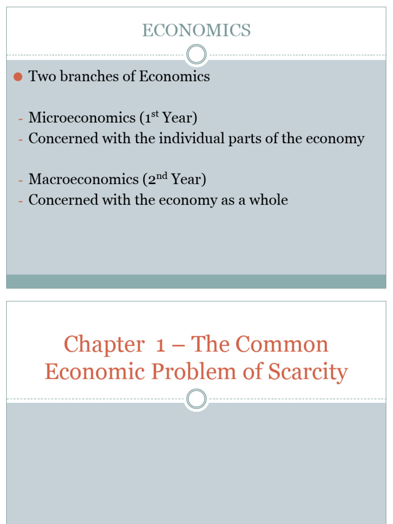 Chapter 1 - The Common Economic Problem of Scarcity | PDF | Economic ...
