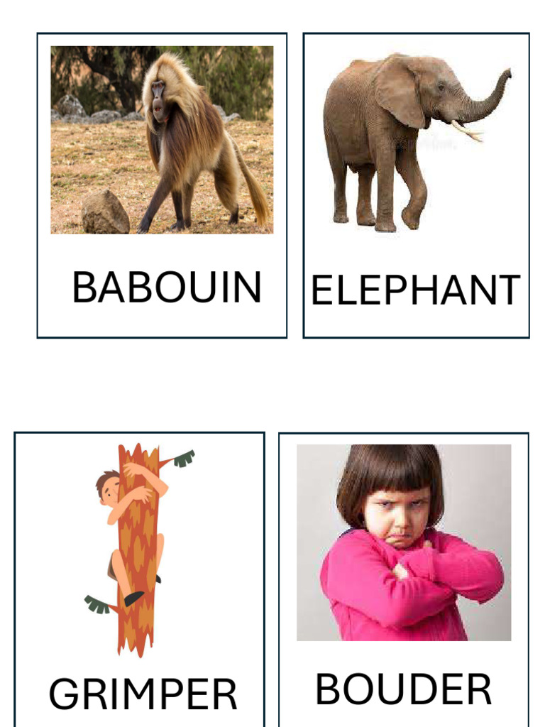 imagier colère | PDF