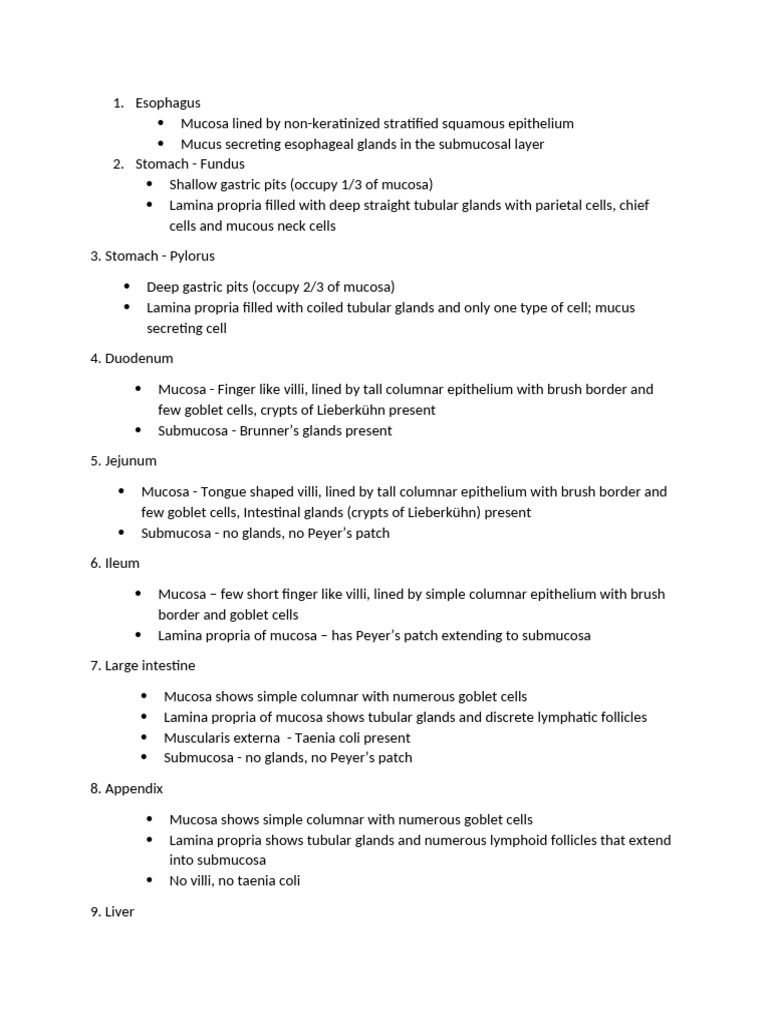 Histology Spotters - Systemic | PDF | Stomach | Epithelium