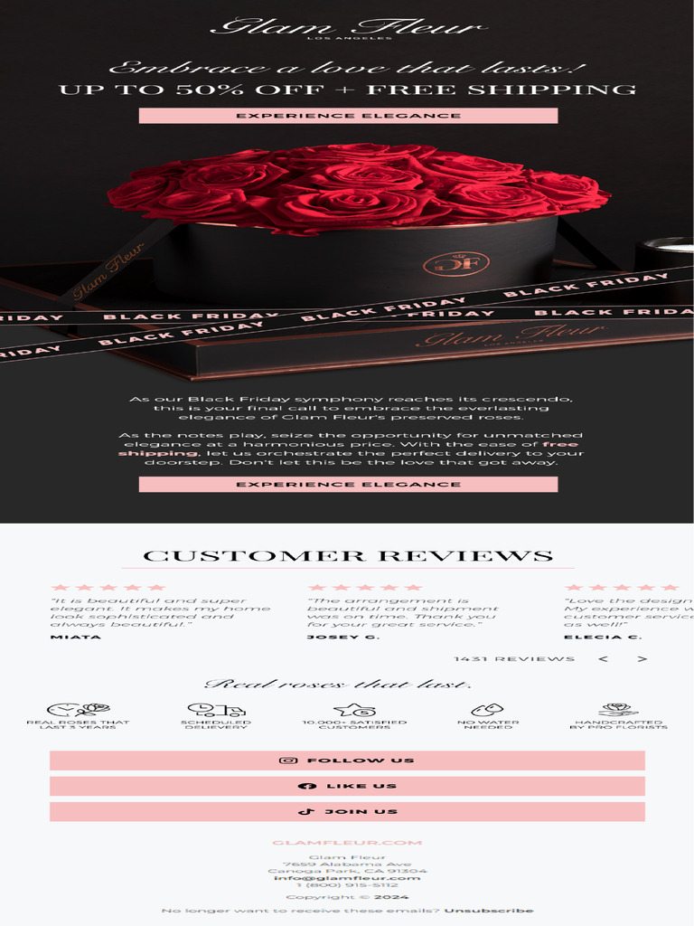 Underground Ecom - 99 Winning Campaign BFCM Template Examples | PDF