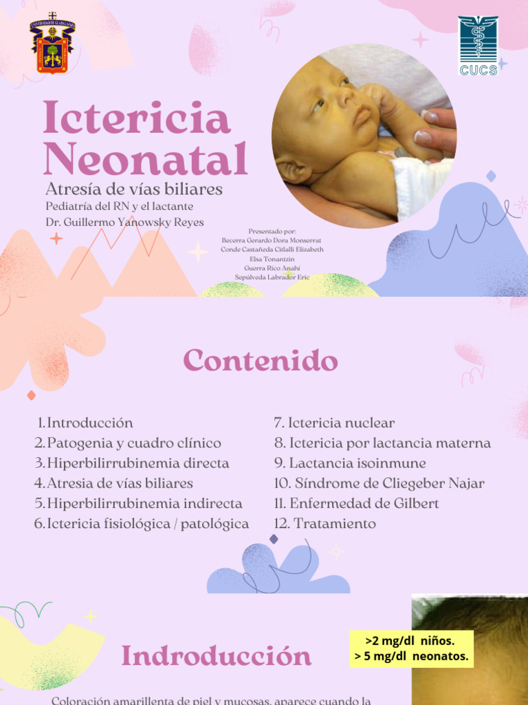 Ictericia Neonatal | PDF | Medicina CLINICA | Especialidades Medicas