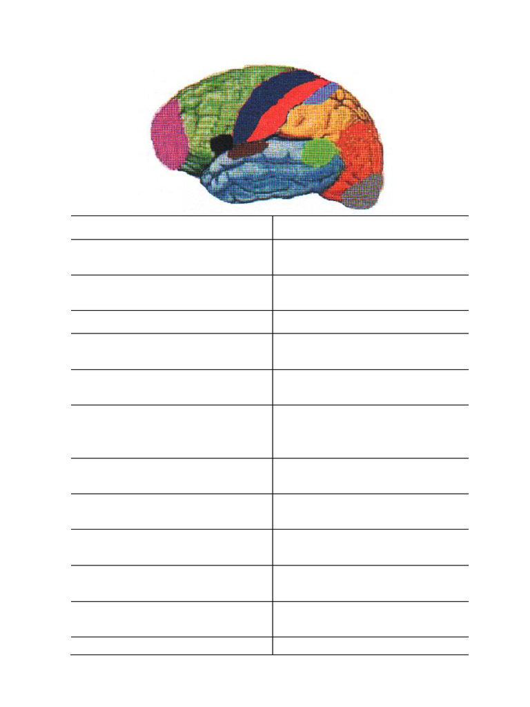 Afasia - Desenho e Quadro | PDF